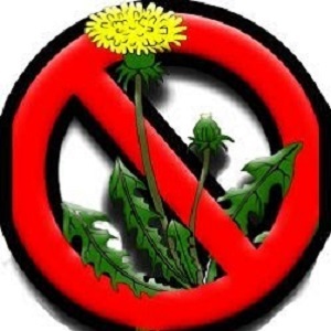 About - Weed Busters - Pickerington, OH